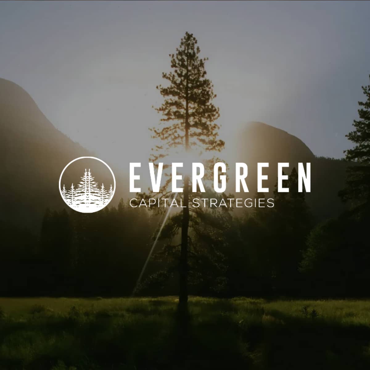 Evergreen Capital Strategies - Woland Web - Charlotte, NC